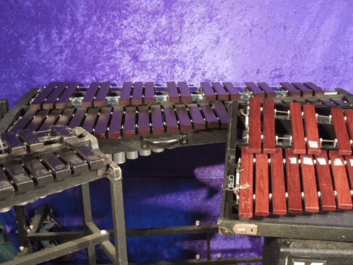 Xylophones | Musical Instrument City